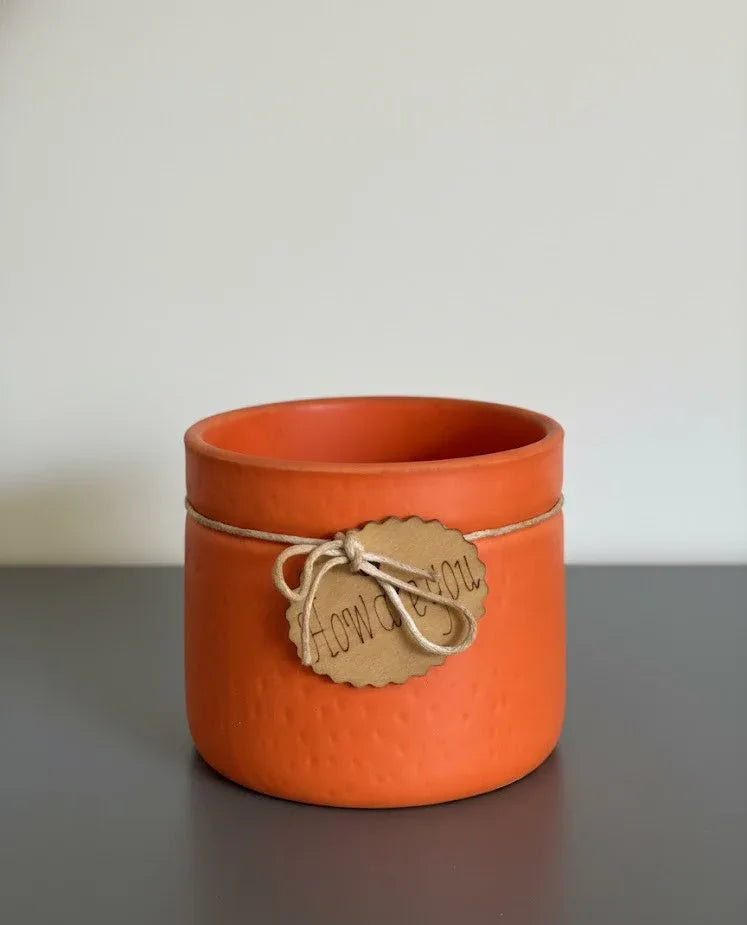 Orange Charm Ceramic Pot 9 CM – GREENTEK ONLINE