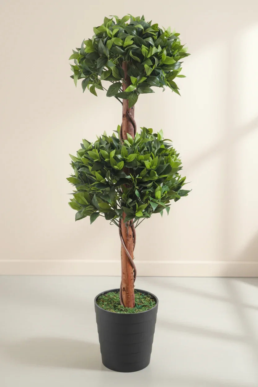 Bay Leaf Topiary : 120cm Without Pot – GREENTEK ONLINE